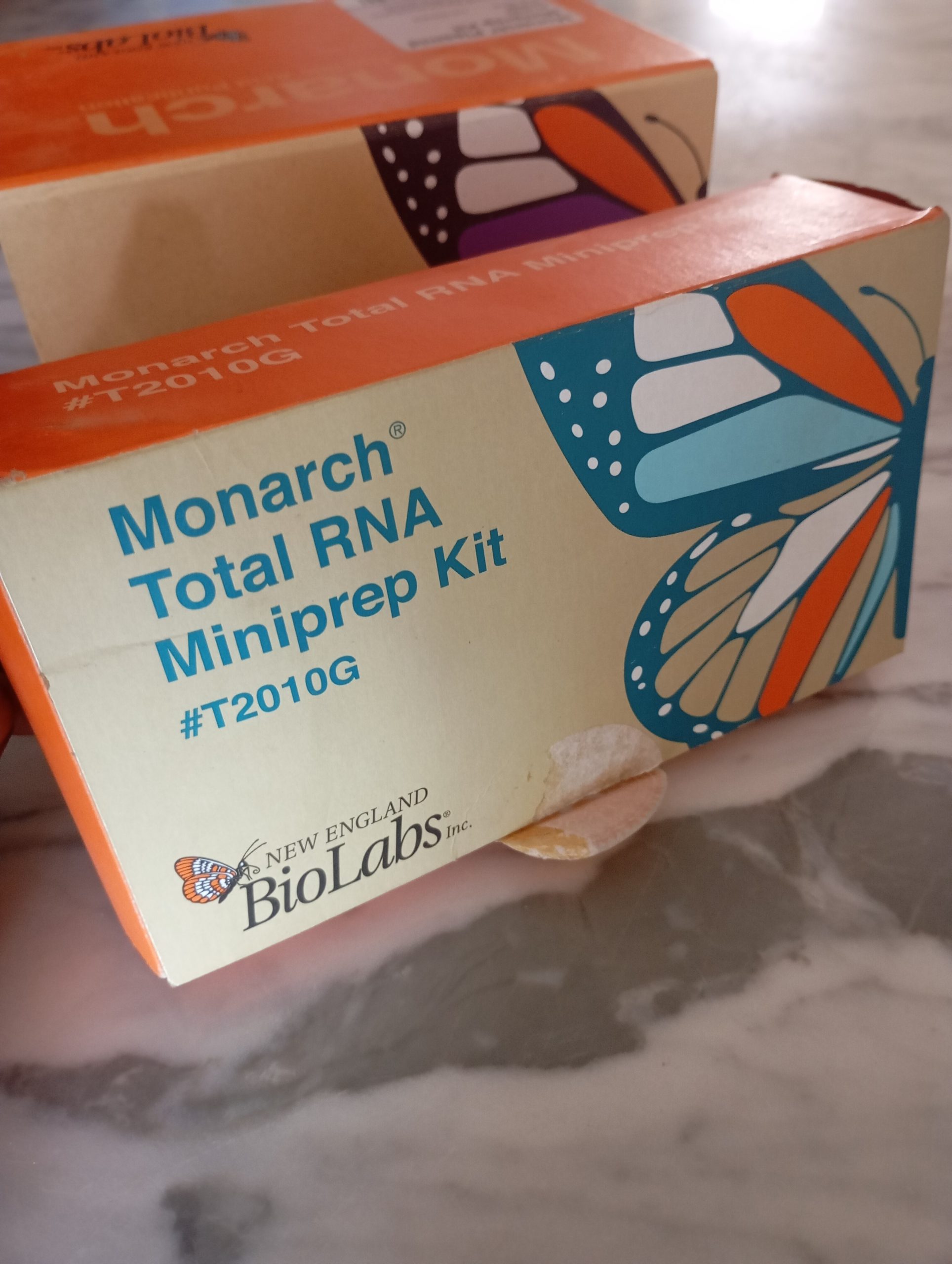 Total RNA Mini prep Kit (1 set of 5 preps) – Shop