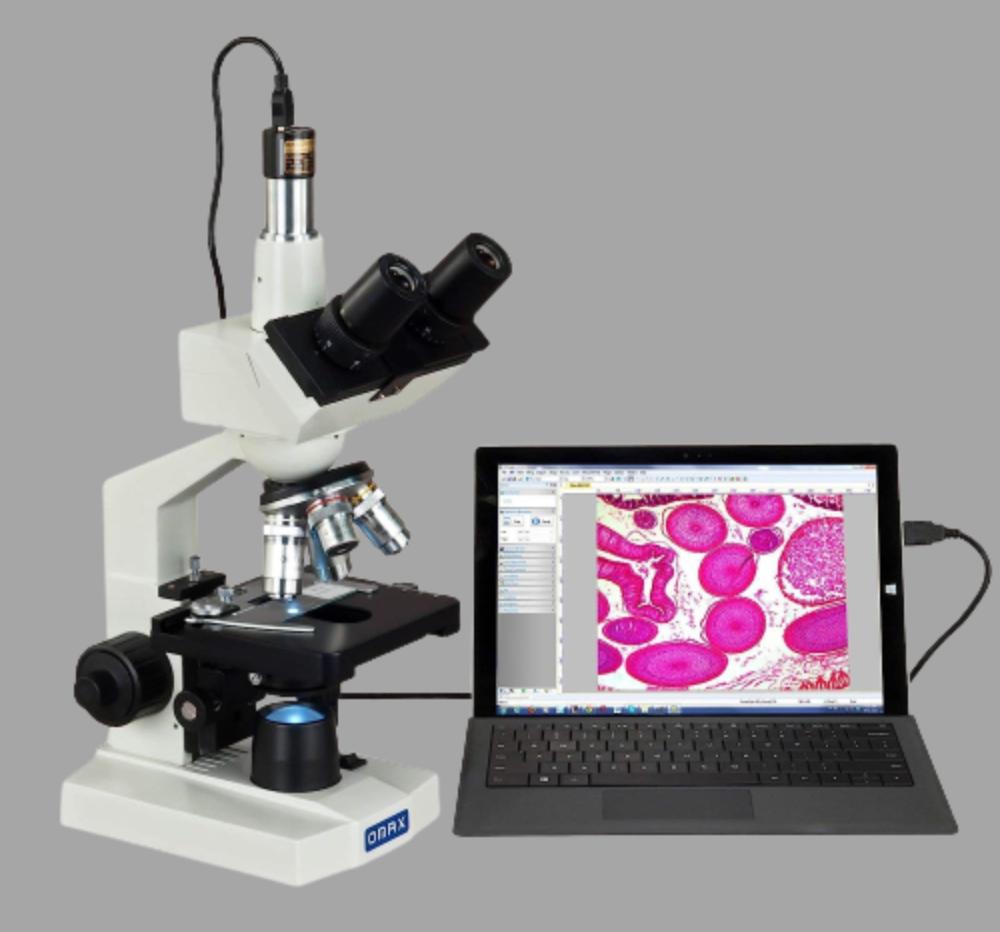 Trinocular Microscope – Shop
